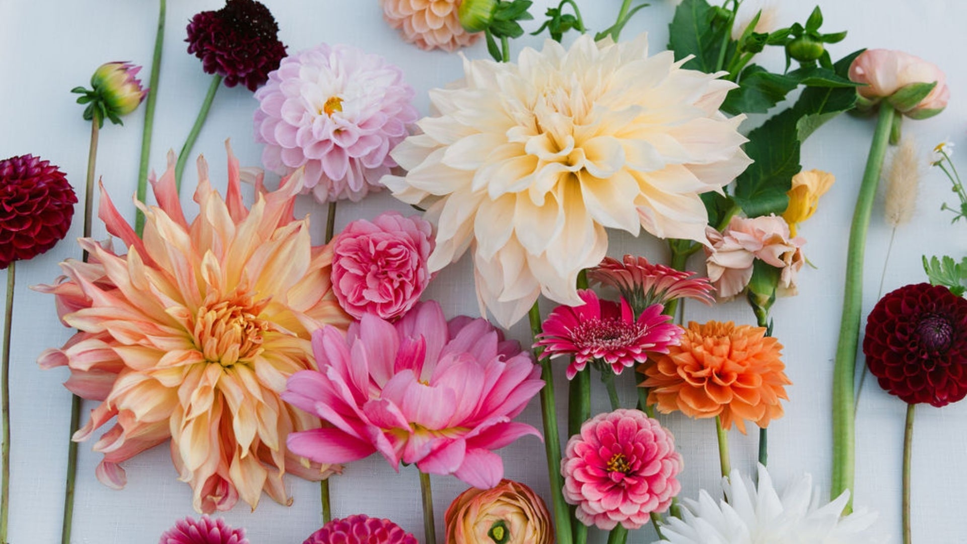 All Products – Berkin Flowers